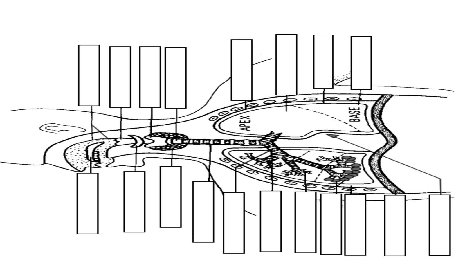 Solved lable these diagrams . | Chegg.com