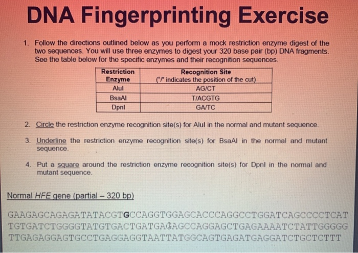 Solved DNA Fingerprinting Exercise 1. Follow the directions | Chegg.com