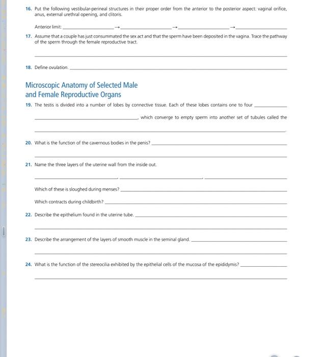 Solved 2. Identify all indicated structures or portions of | Chegg.com