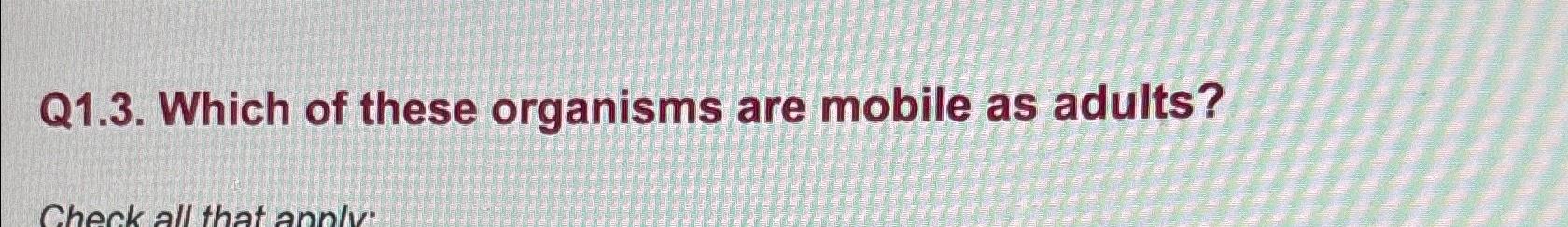 Solved Q1.3. ﻿Which of these organisms are mobile as adults? | Chegg.com