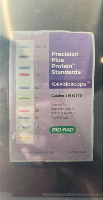 analyze the SDS-page, make a table and determine the | Chegg.com