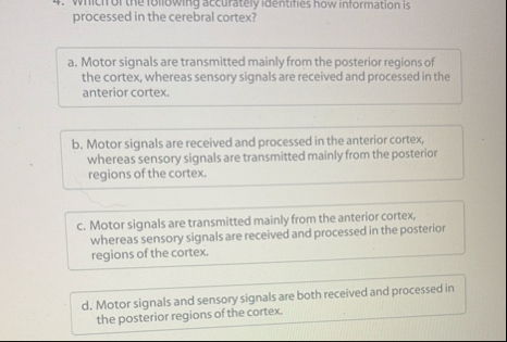 Solved processed in the cerebral cortex?a. ﻿Motor signals | Chegg.com