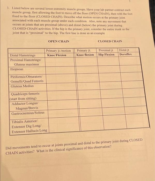Solved 3. Listed below are several lower extremity muscle | Chegg.com