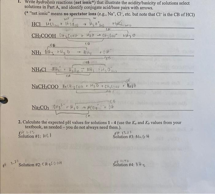 Solved 1. Write hydrolysis reactions (net ionic") that | Chegg.com