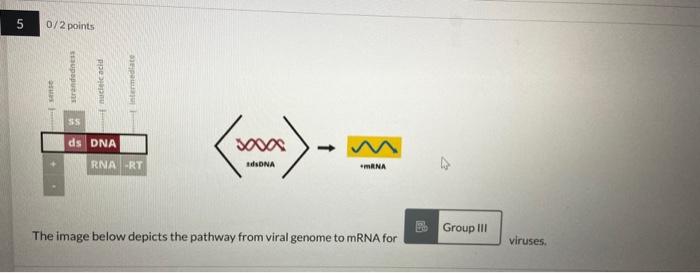 Solved The image above depicts the pathway from viral genome | Chegg.com
