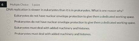 Solved 6Multiple Choice 1 ﻿pointDNA replication is slower in | Chegg.com