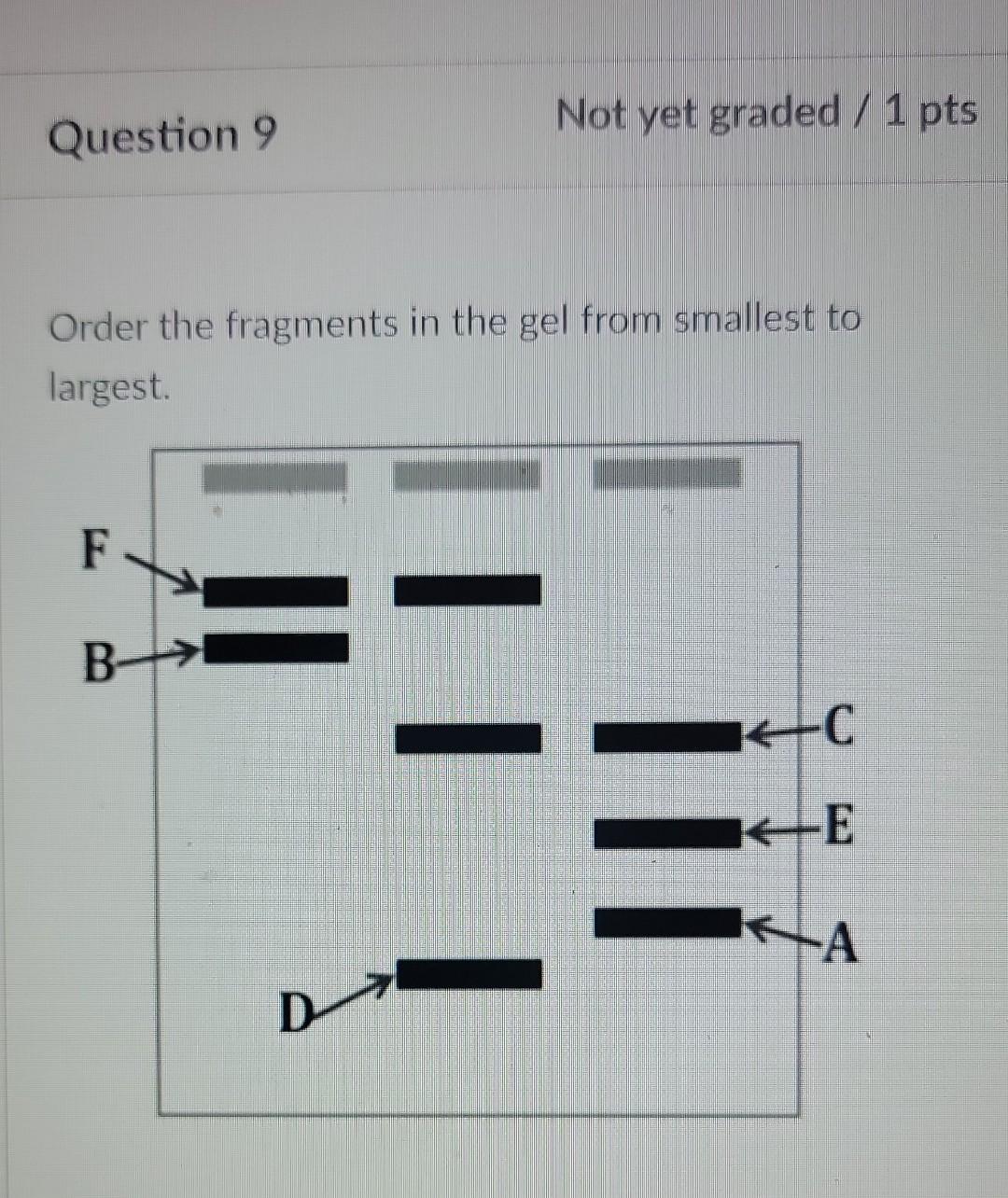 Solved Order the fragments in the gel from smallest to | Chegg.com