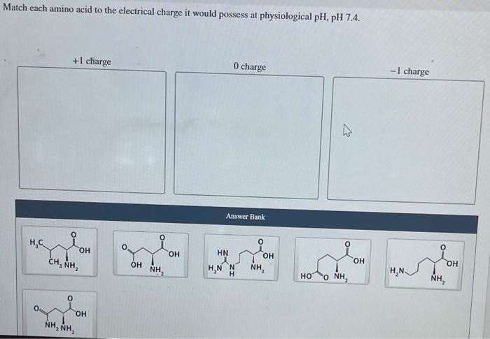 Solved Match each amino acid to the electrical charge it | Chegg.com