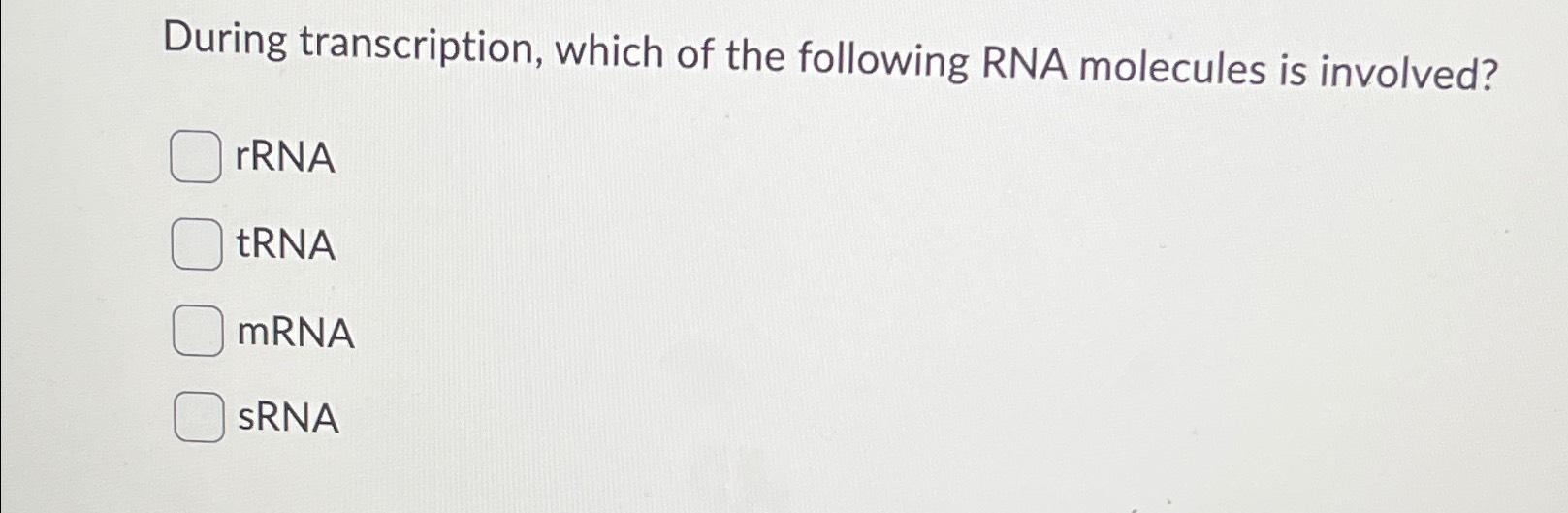Solved During transcription, which of the following RNA | Chegg.com
