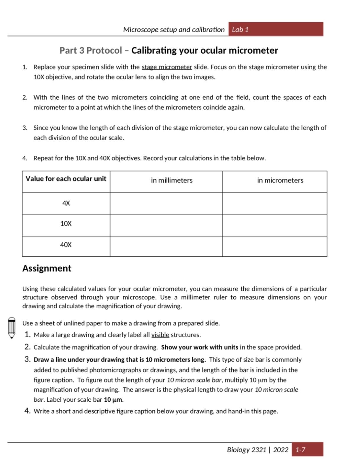 Solved Microscope setup and calibrationLab 1Part 3 ﻿Protocol | Chegg.com