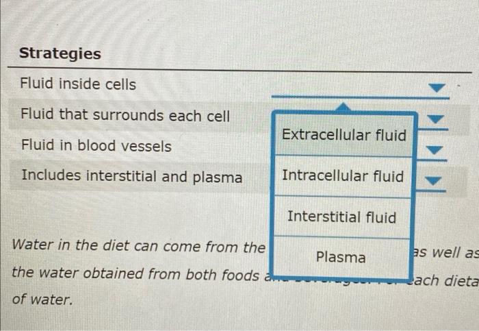 Solved Strategies Fluid inside cells Fluid that surrounds | Chegg.com