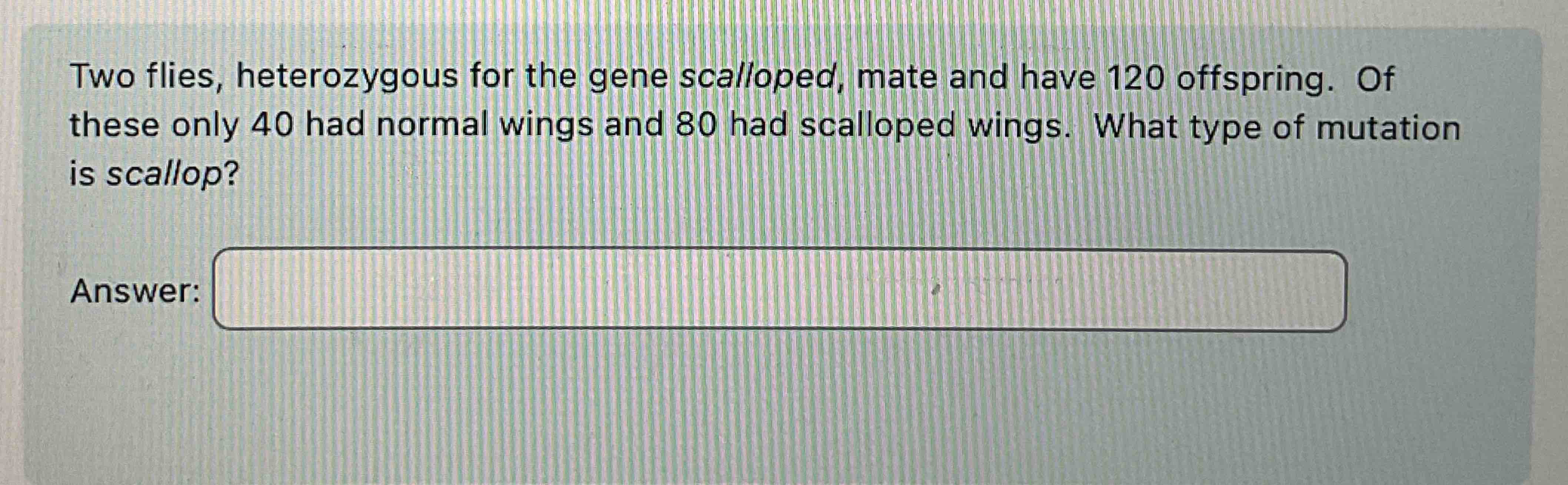Solved Two flies, heterozygous for the gene scalloped, mate | Chegg.com