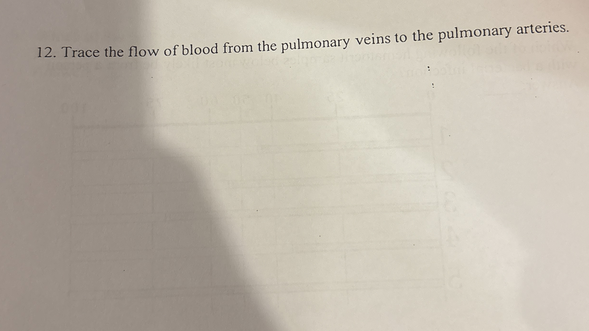 Solved Trace the flow of blood from the pulmonary veins to | Chegg.com