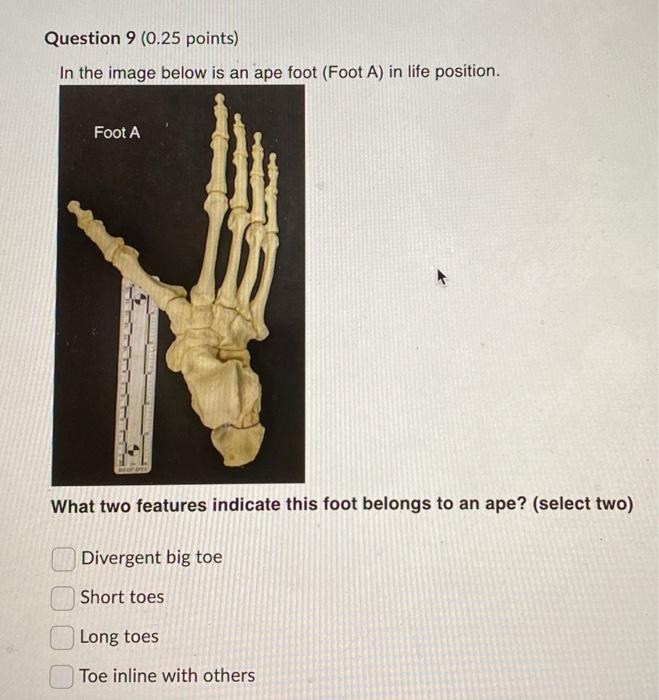 Below is an image of a hand. Does this hand belong to | Chegg.com
