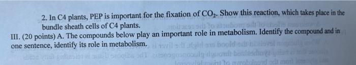 Solved 2. In C4 plants, PEP is important for the fixation of | Chegg.com