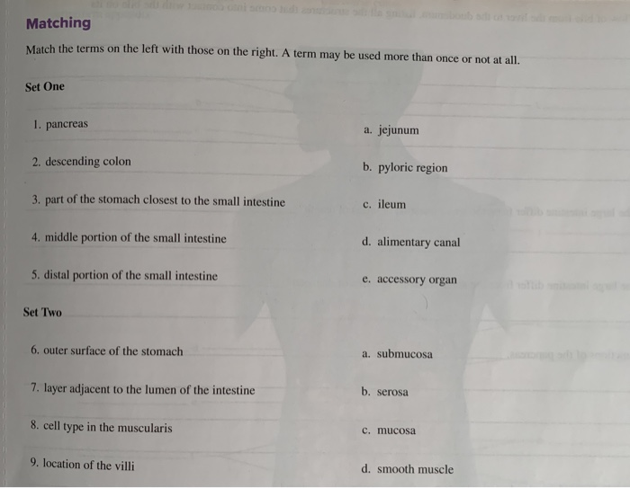Solved Matching Match the terms on the left with those on | Chegg.com