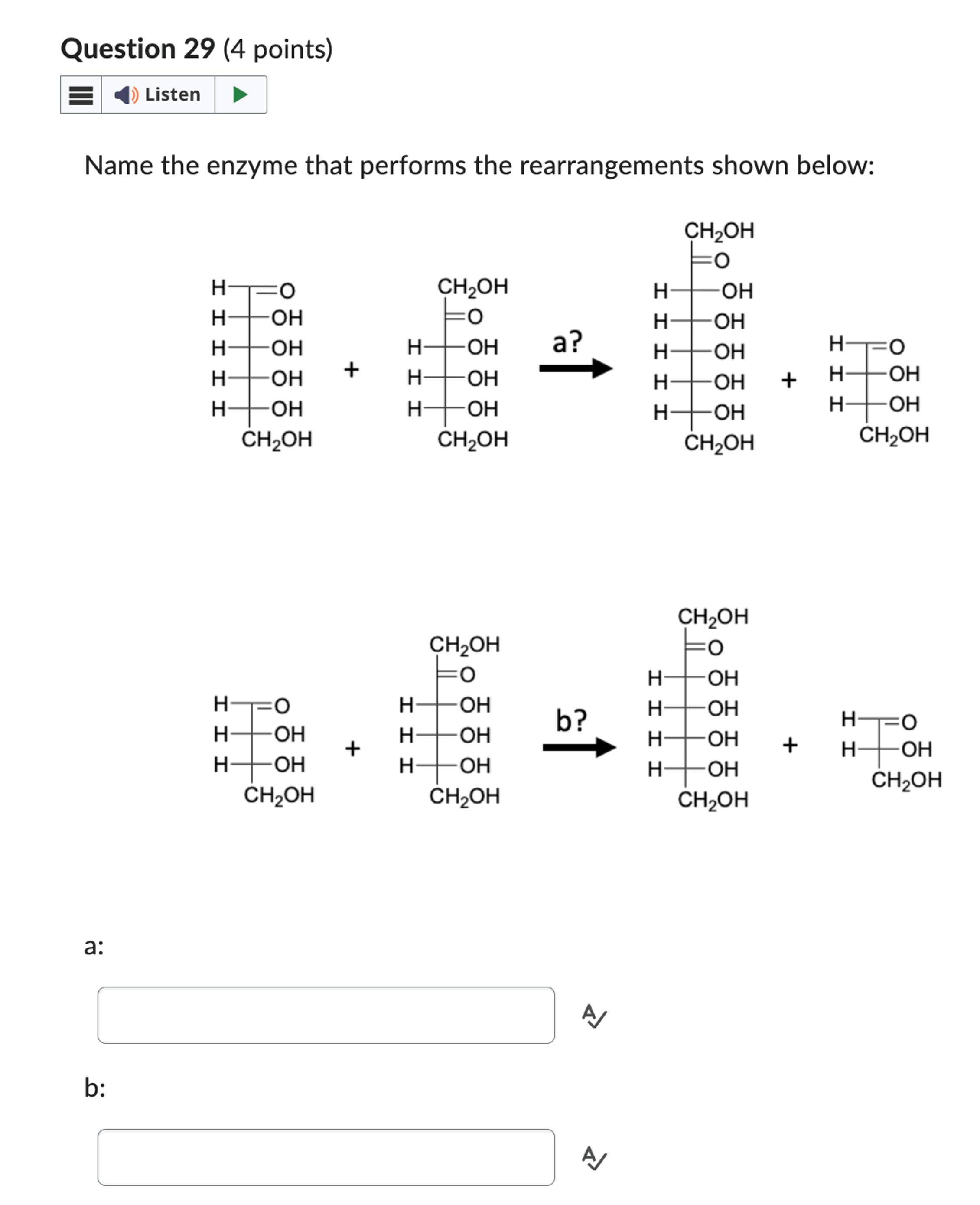 Solved Question 29 (4 points)Name the enzyme that performs | Chegg.com Solved Question 29 (4 points)Name the enzyme that performs | Chegg.com