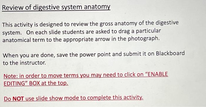 Solved Review of digestive system anatomy This activity is | Chegg.com