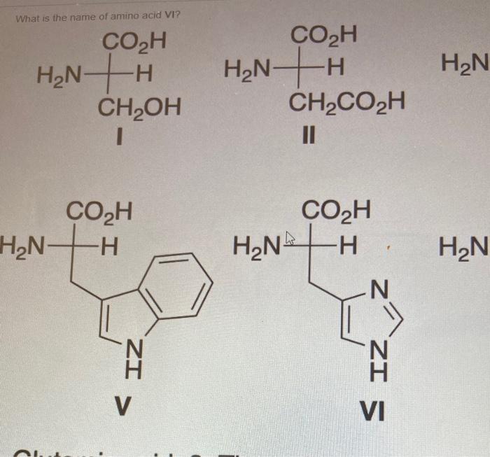 Solved What is the name of amino acid VI? CO2H HNH CH,OH 1 | Chegg.com