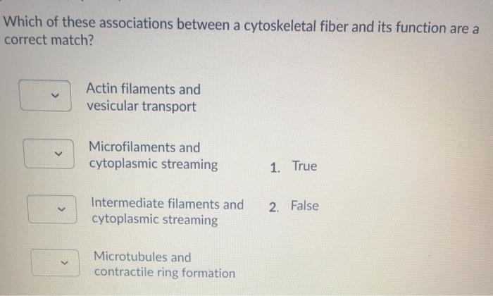 Solved Indicate which type of cytoskeletal fiber is | Chegg.com