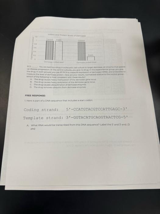 Solved FREE RESPONSE: 1. Here is part of a DNA sequence that | Chegg.com