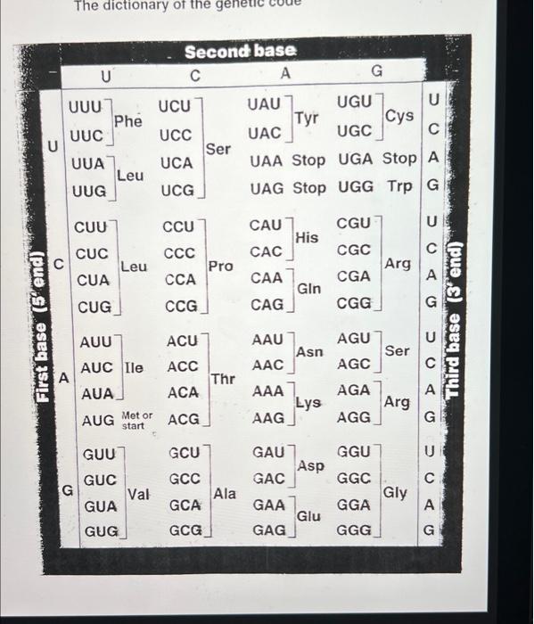 Solved Protein Synthesis Chart: Complete the chart below and | Chegg.com