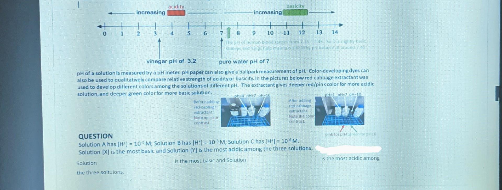 Solved Reading Buret Scales Reading the scales in buret can | Chegg.com