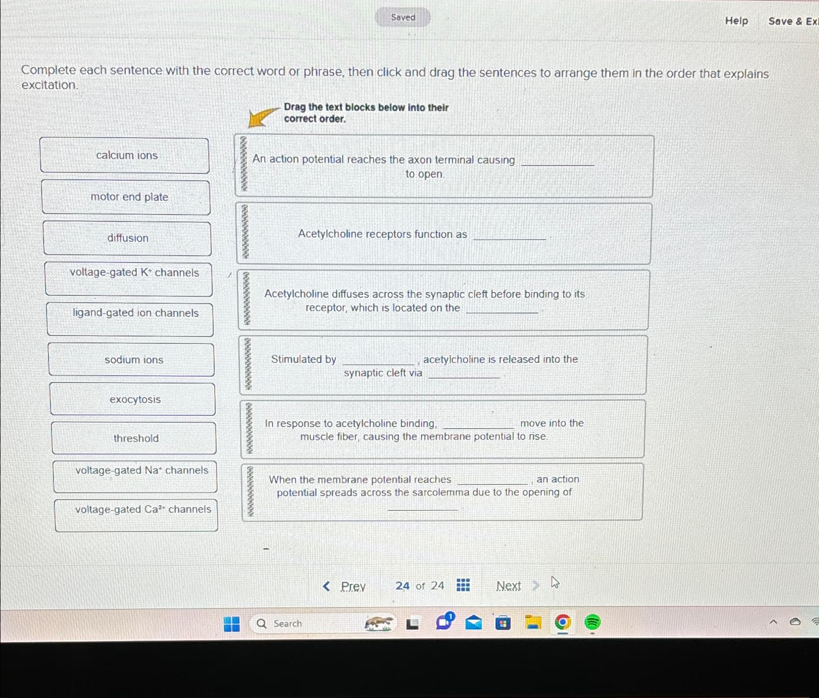 Solved SavedHelpSove & EXComplete each sentence with the | Chegg.com
