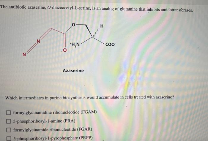 Solved The antibiotic azaserine, O-diazoacetyl-L-serine, is | Chegg.com