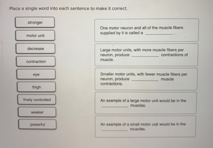 Solved Place a single word into each sentence to make it | Chegg.com