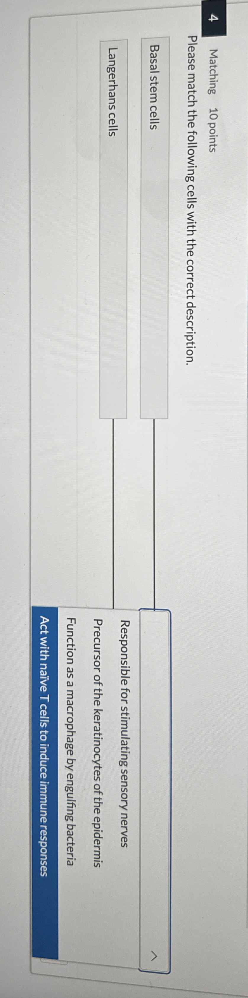 Solved 4Matching 10 ﻿pointsPlease match the following cells | Chegg.com