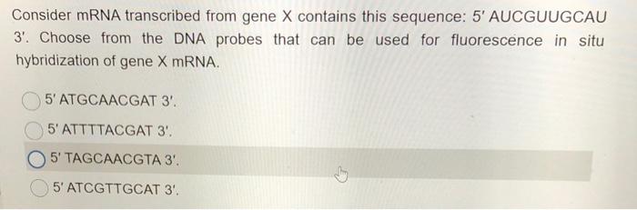Solved Consider mRNA transcribed from gene X contains this | Chegg.com