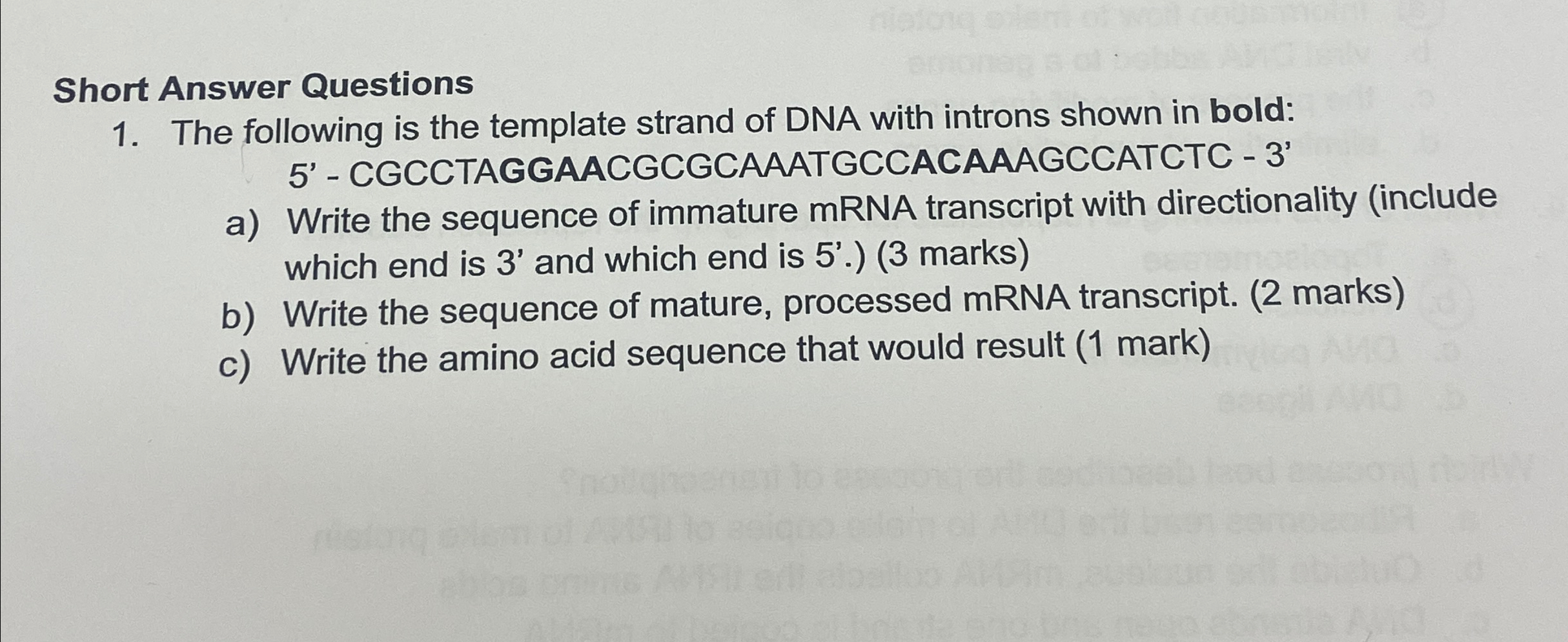 Solved Short Answer QuestionsThe following is the template | Chegg.com