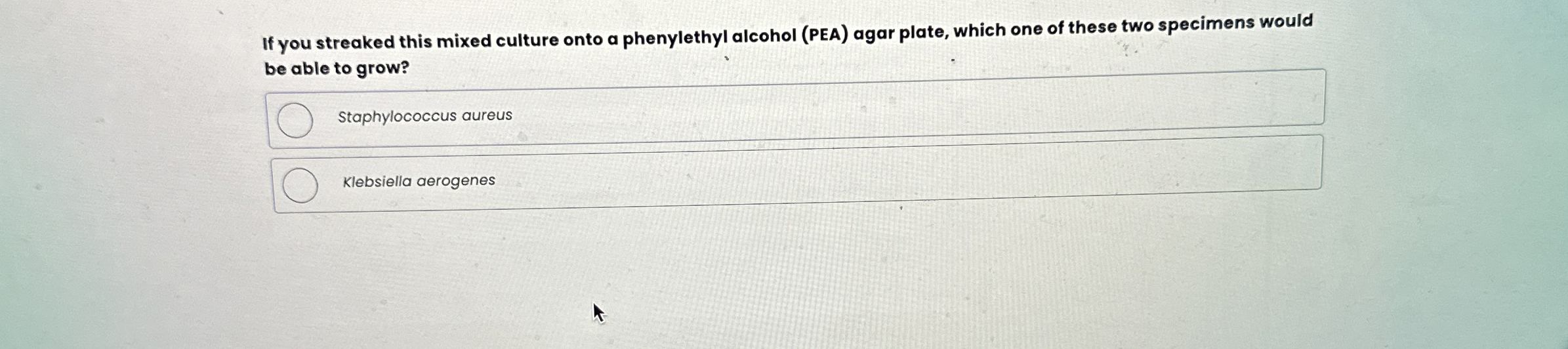 Solved If you streaked this mixed culture onto a phenylethyl | Chegg.com