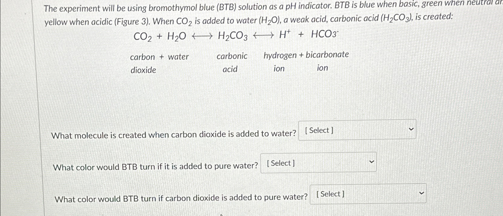 Solved What molecule is created when carbon dioxide is added | Chegg.com
