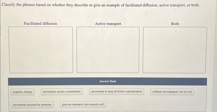 Solved Classify the phrases based on whether they describe | Chegg.com