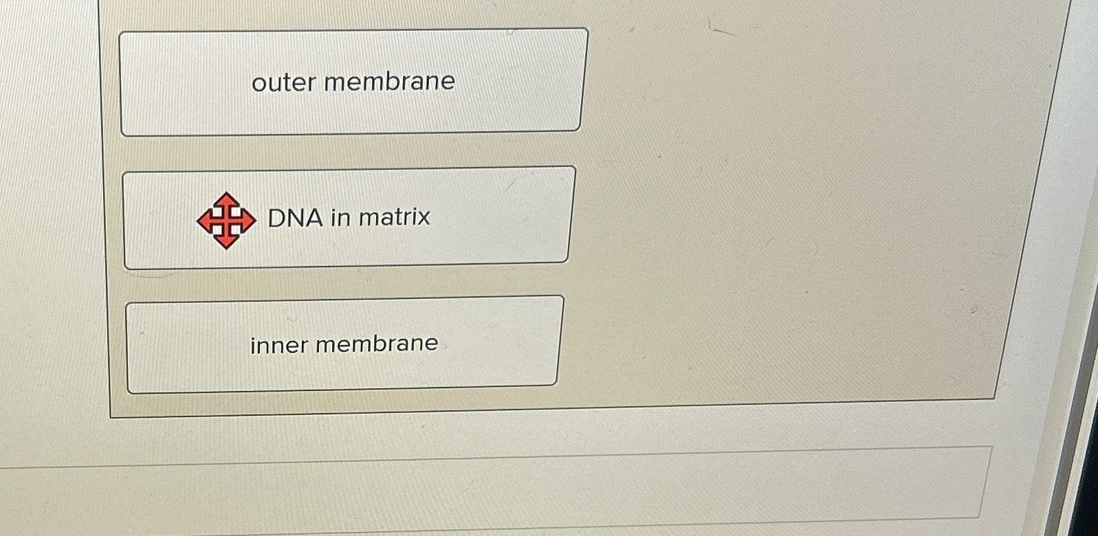 Solved Matching QuestionMatch the numbered arrow with the | Chegg.com