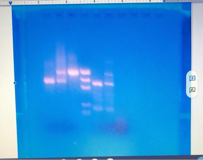 a. Annotated gel: Download the image of the gel you | Chegg.com