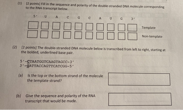 Solved (1) [2 points) Fill in the sequence and polarity of | Chegg.com
