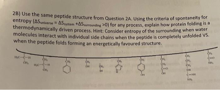 Solved 2B) Use the same peptide structure from Question 2A. | Chegg.com