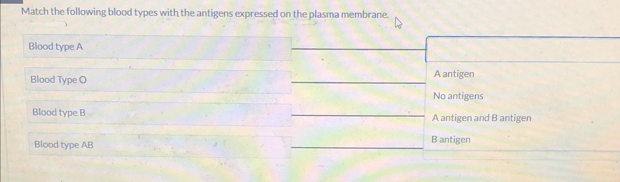 Solved Match the following blood types with the antigens | Chegg.com
