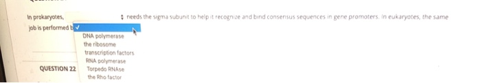 Solved needs the sigma subunit to help it recognize and bind | Chegg.com
