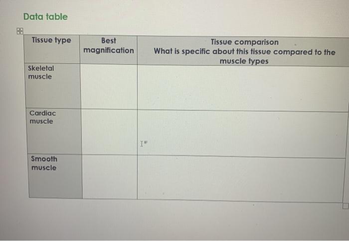 Data table Tissue type Best magnification Tissue | Chegg.com
