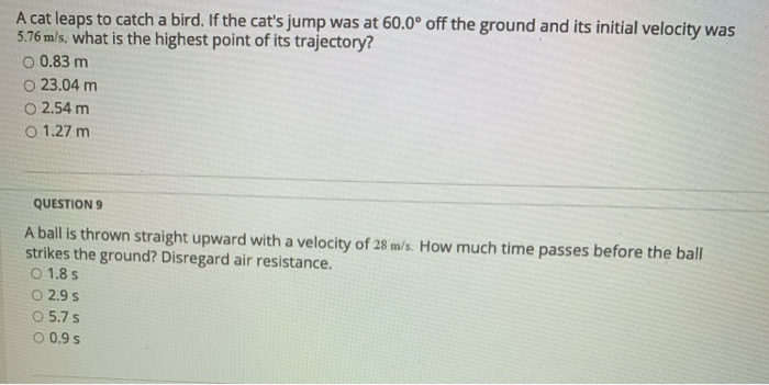Solved A cat leaps to catch a bird. If the cat's jump was at | Chegg.com