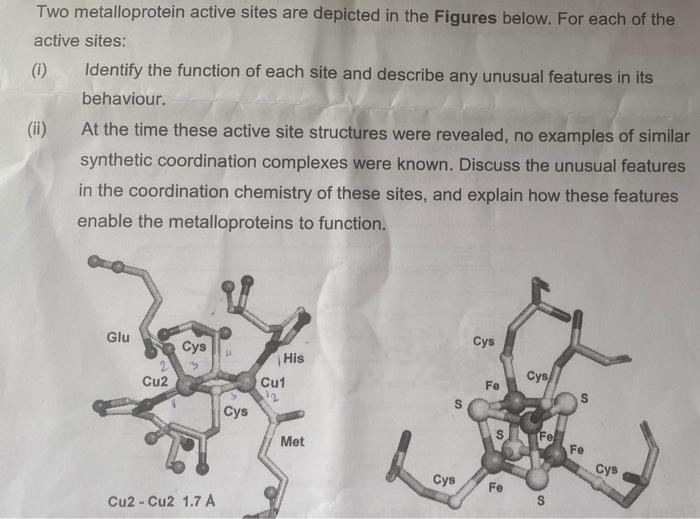 Solved Two metalloprotein active sites are depicted in the | Chegg.com