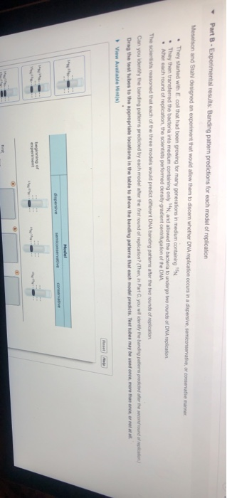 Solved Part B. Experimental results. Banding pattern | Chegg.com