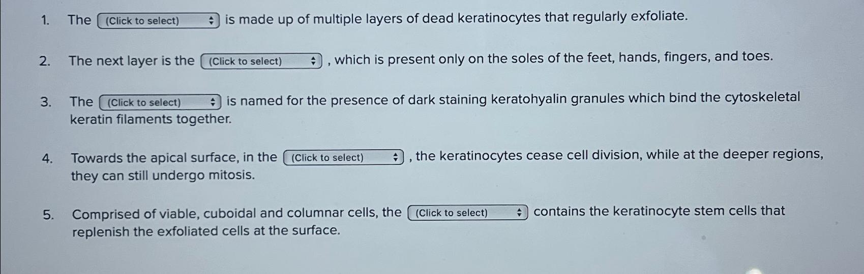 Solved The is made up of multiple layers of dead | Chegg.com