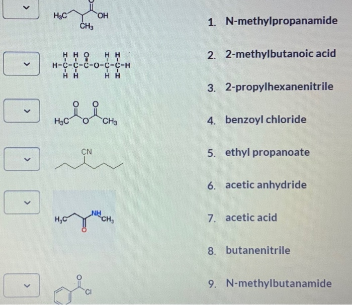 Solved H5C Тон CH3 1. N-methylpropanamide 2. | Chegg.com
