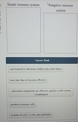 Solved Determine whether each statement describes the innate | Chegg.com