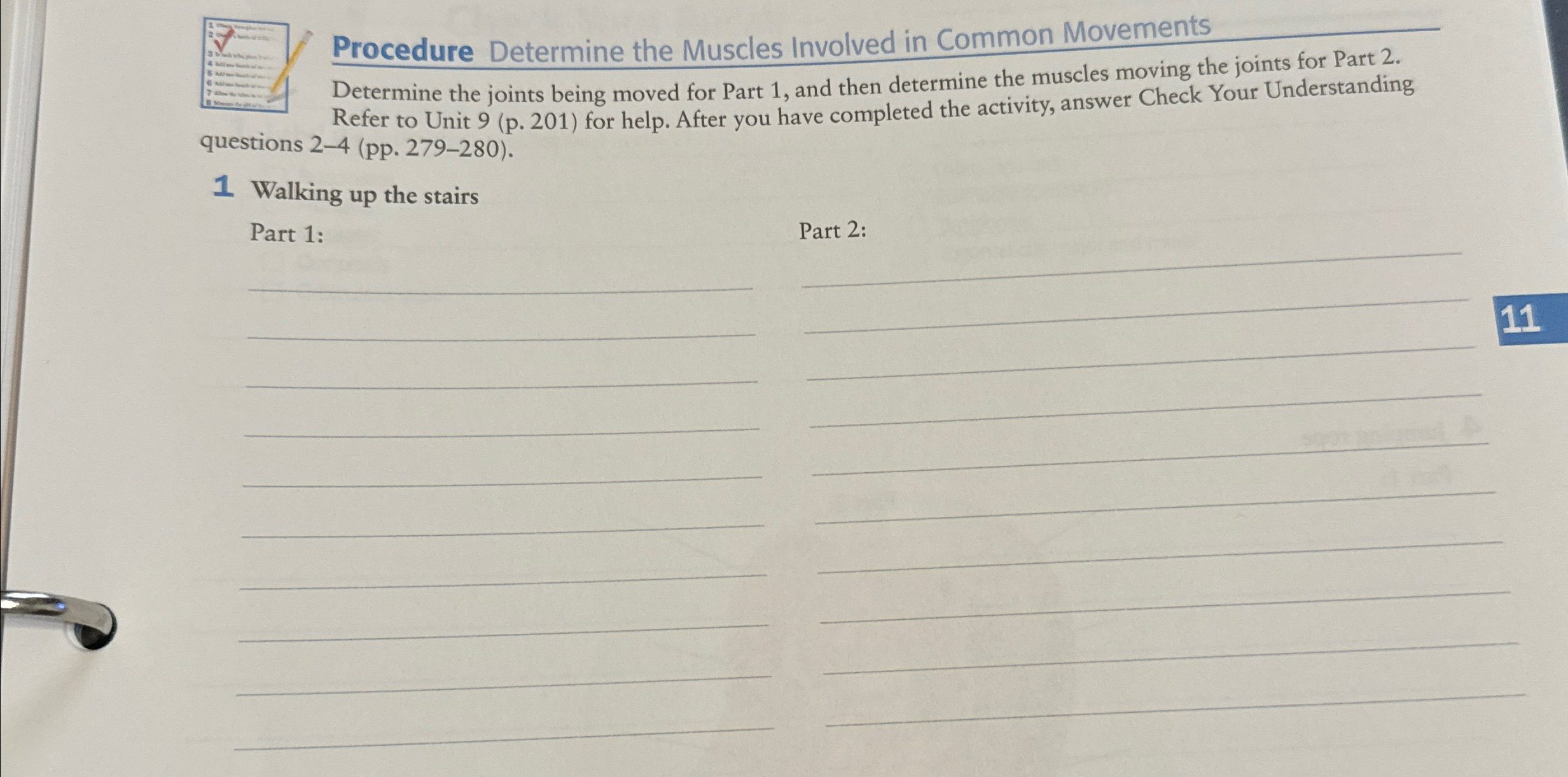 Solved Procedure Determine the Muscles Involved in Common | Chegg.com